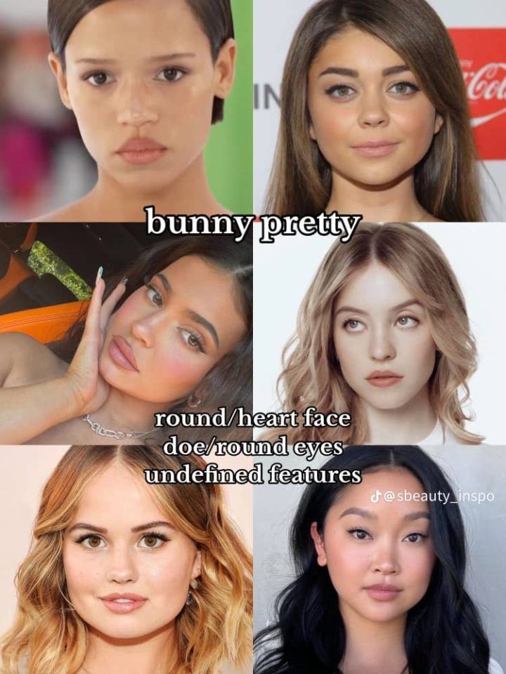 How to find out if you are cat, fox, deer, or bunny pretty, according ...