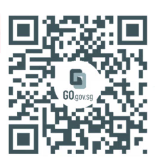 How to win tickets to watch NDP 2025 in Singapore – SG60 edition