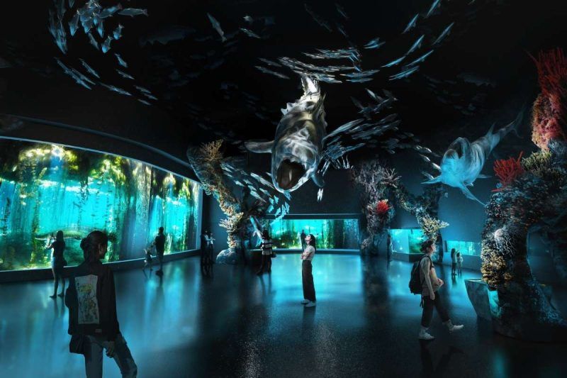 What to expect from the new Singapore Oceanarium at RWS this July ...