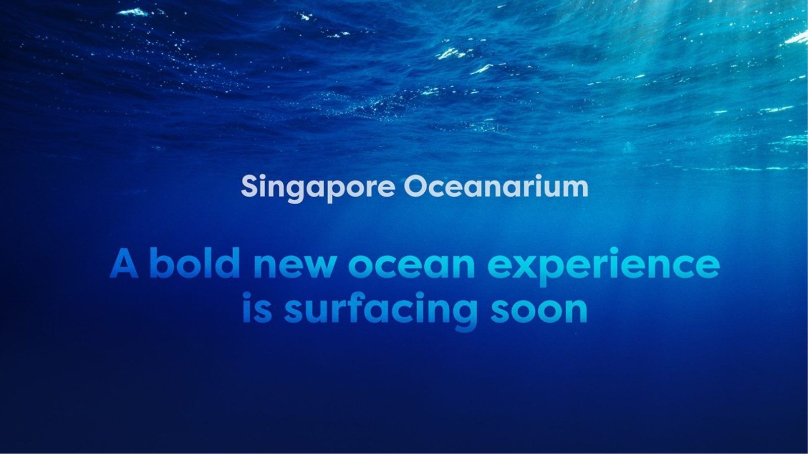 9 best wildlife experiences and parks in Singapore for the entire ...