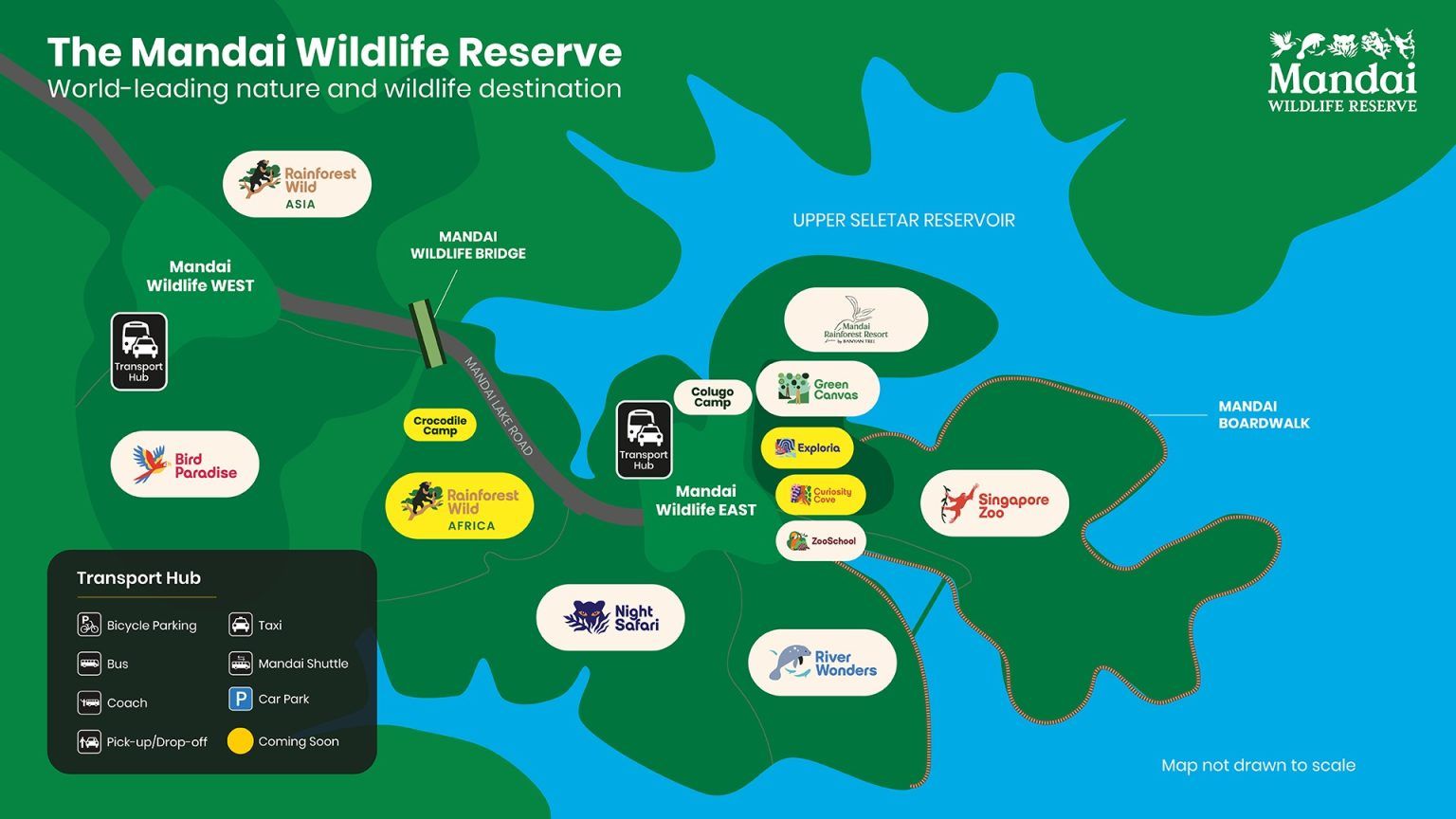 What to know about Colugo Camp at Mandai Wildlife East in Singapore