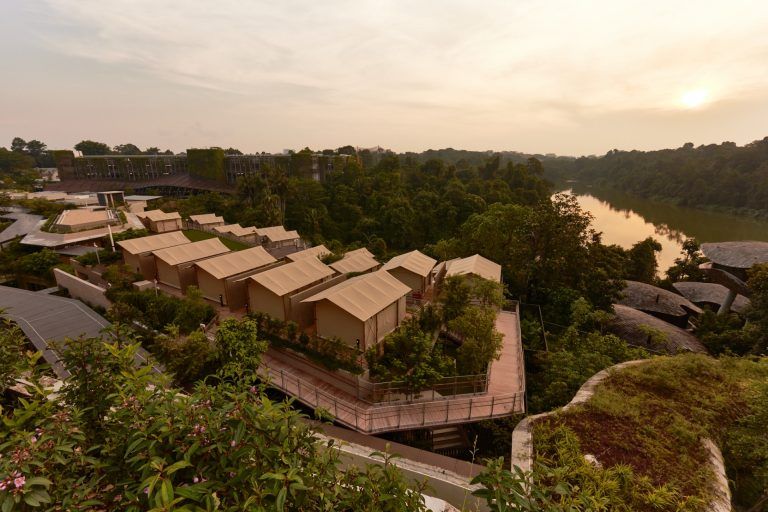 What to know about Colugo Camp at Mandai Wildlife East in Singapore