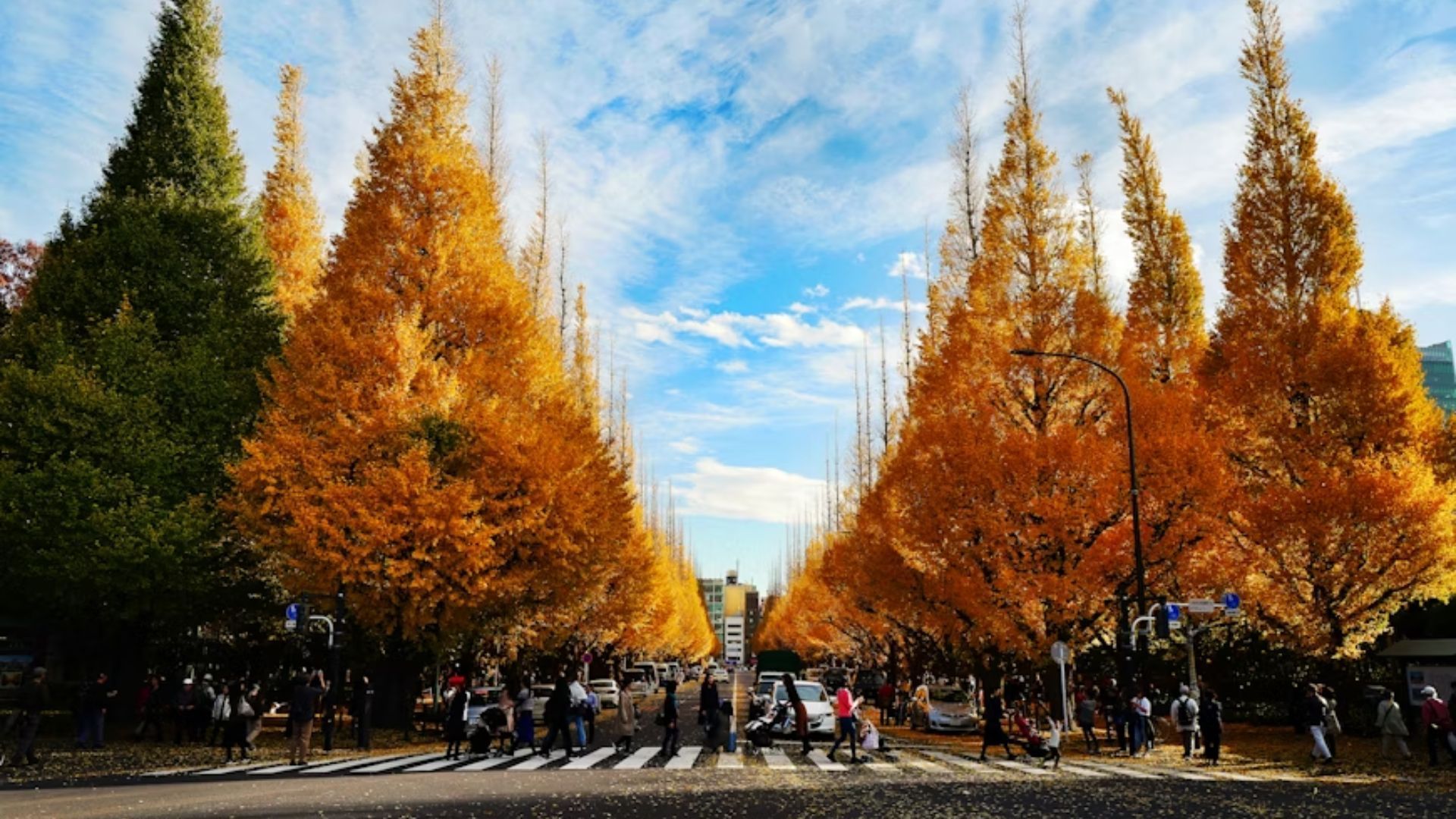 Autumn foliage forecast Japan 2025: Best time to savour Fall leaves in ...