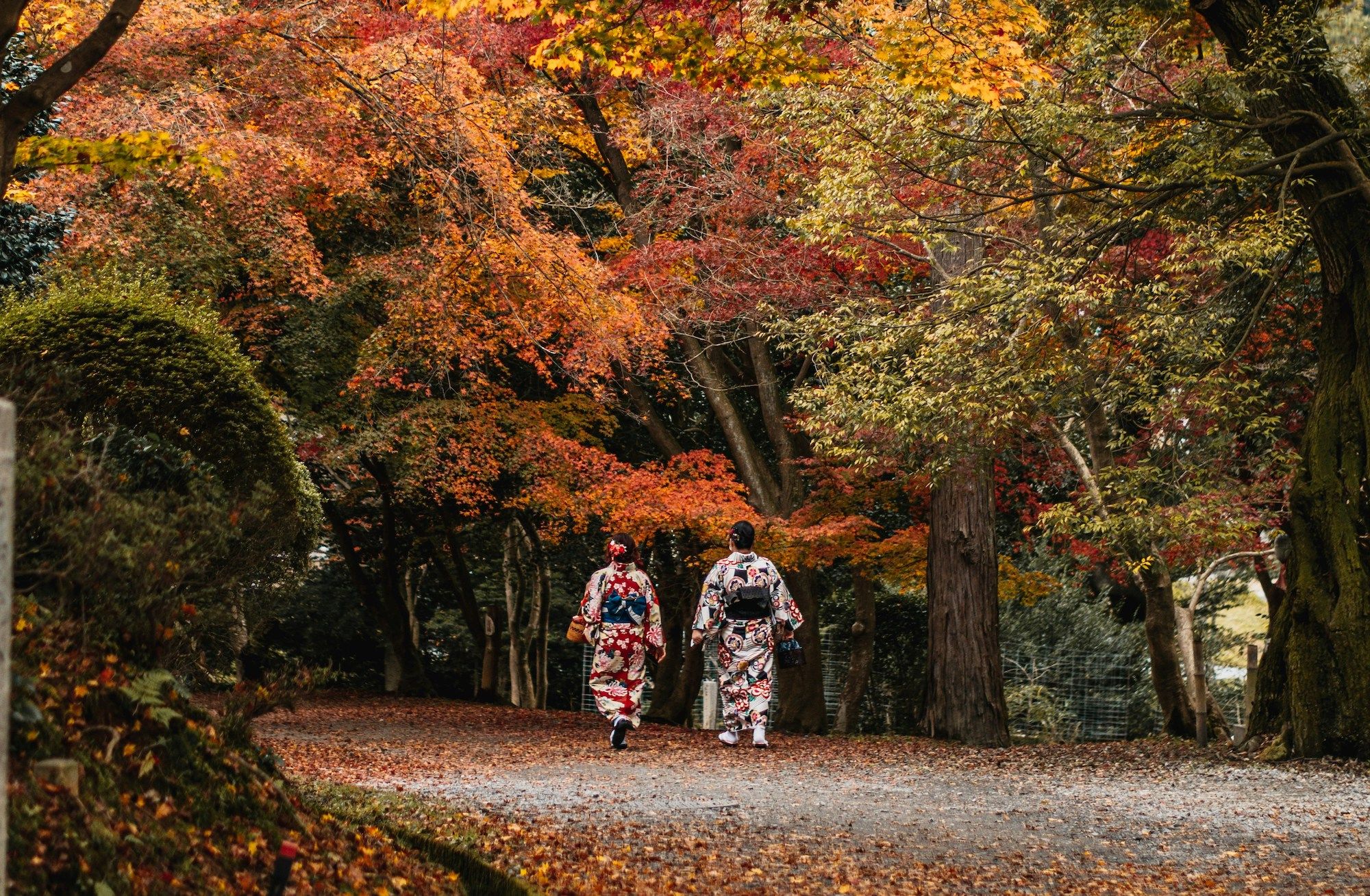 Autumn foliage forecast Japan 2025: Best time to savour Fall leaves in ...