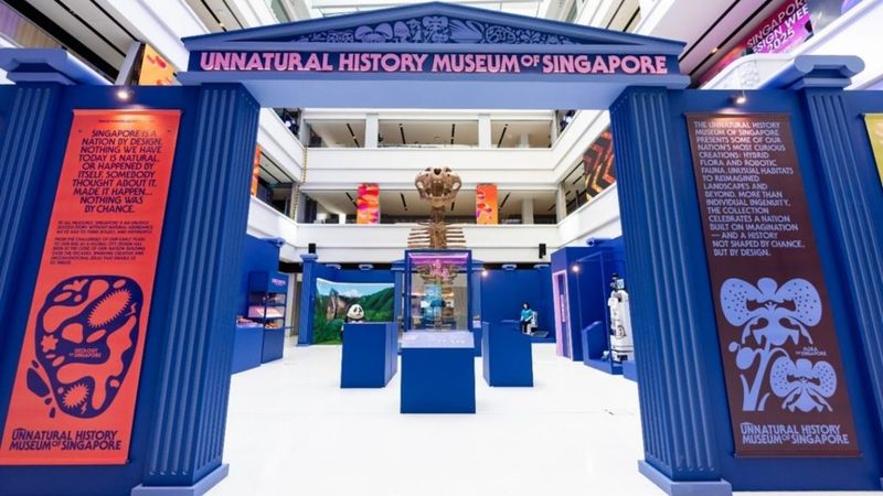 National Day Parade 2025: NDP fireworks, SG60 heartland events, & more