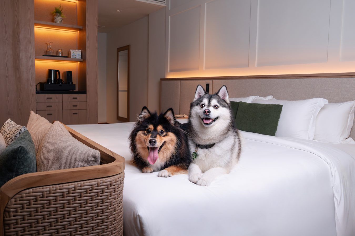 Pamper yourself and your pooch at these pet-friendly hotels in Singapore