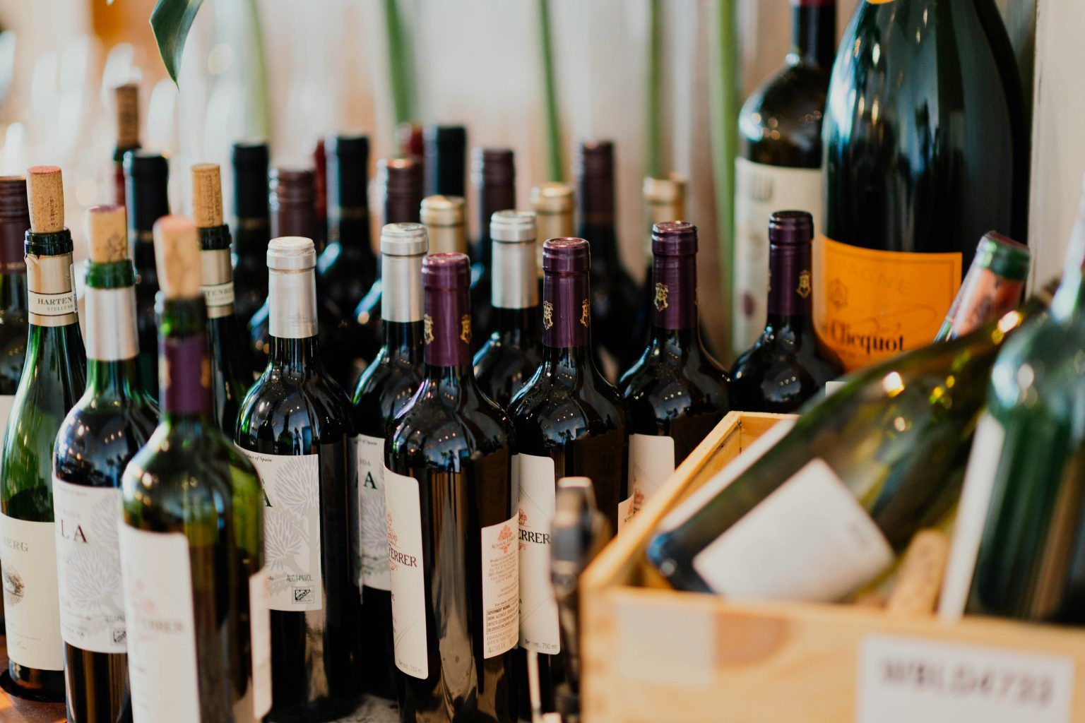Wine 101: How to speak like a pro, according to a sommelier