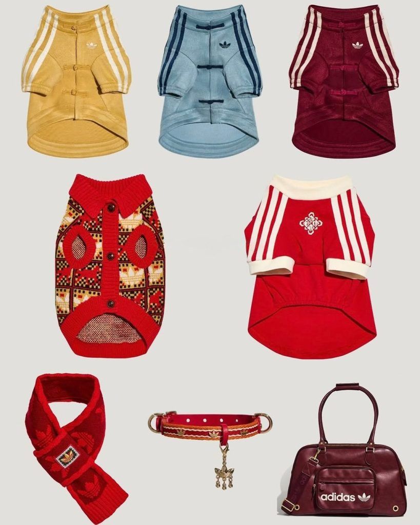 Adidas drops viral Tang Jacket for pets this CNY 2026 | LSA Singapore