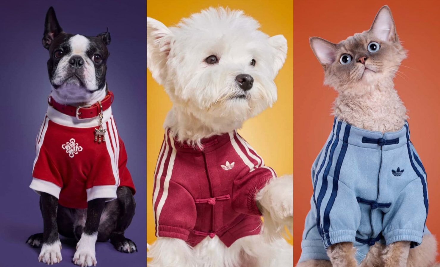 Adidas drops viral Tang Jacket for pets this CNY 2026 | LSA Singapore