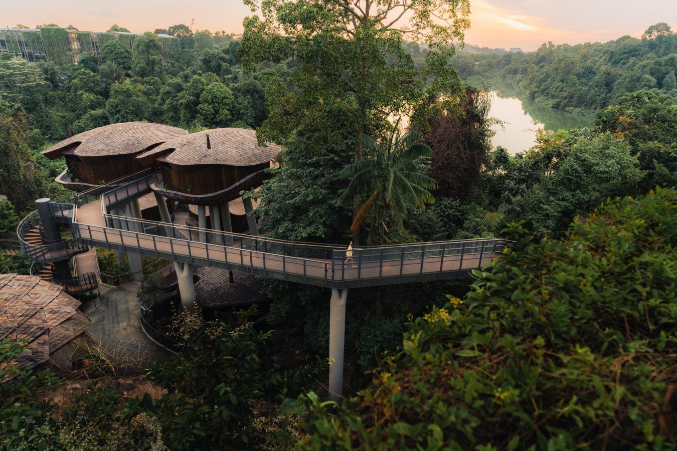 Best luxury forest resorts in Asia to escape to this year | LSA SG