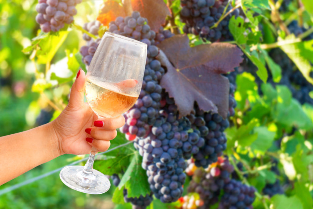 Here's a quick guide to understanding champagne jargons like a pro