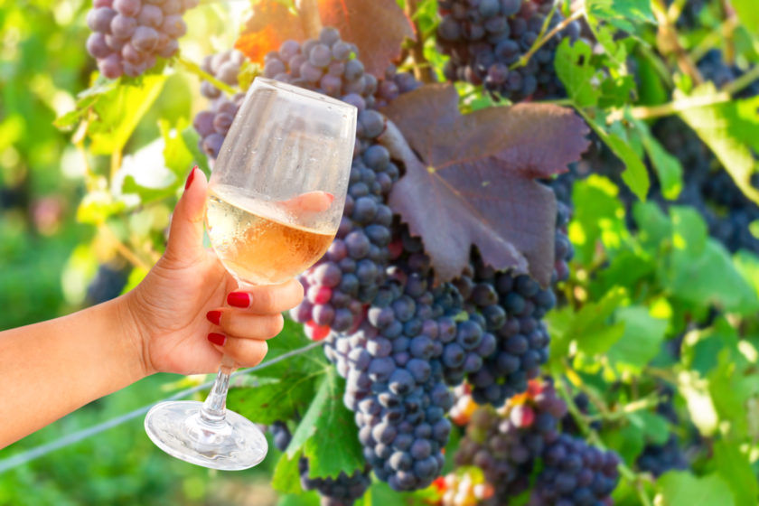 Here's a quick guide to understanding champagne jargons like a pro