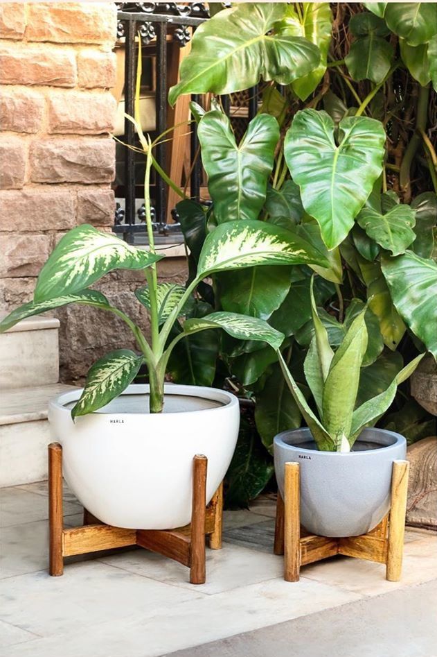 You'll fall in love with Hyderabad’s cultural and co-working space ...