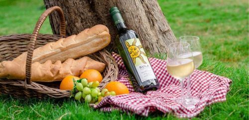Wines in India: Your must-have collection, arranged by price