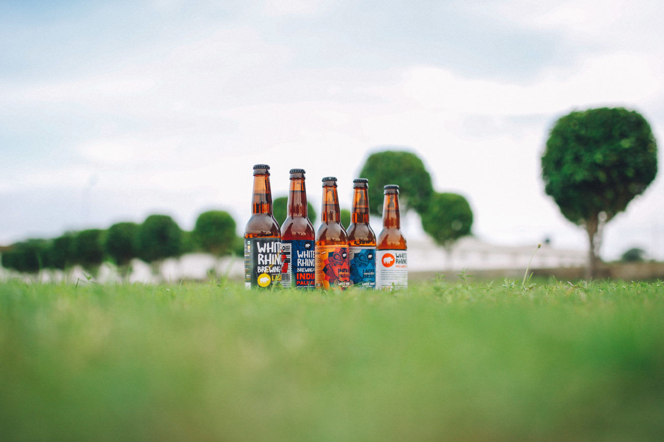 Everything to make the best of life in the times of COVID-19