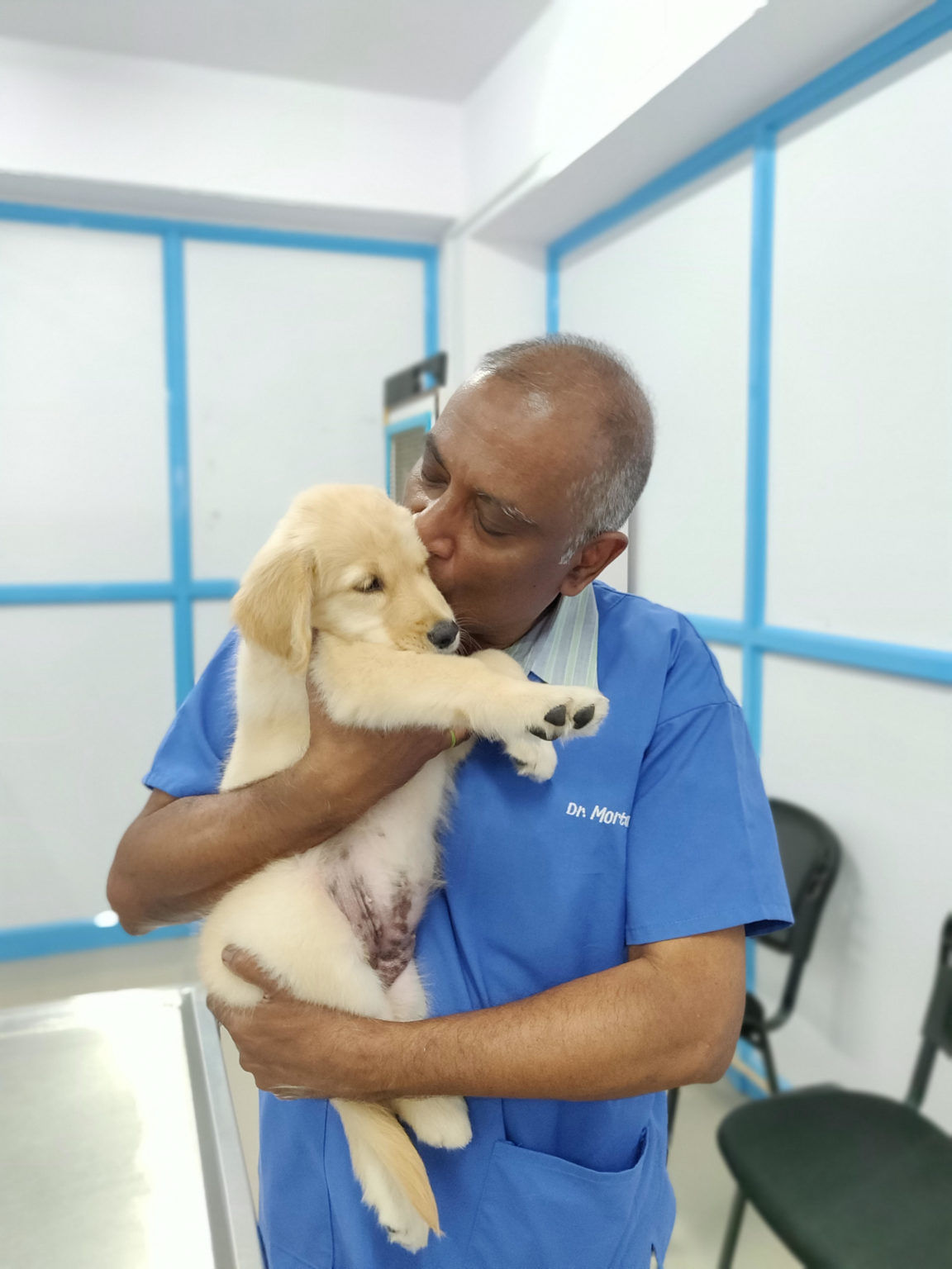 Pet grooming services in your city that will pamper your pets silly