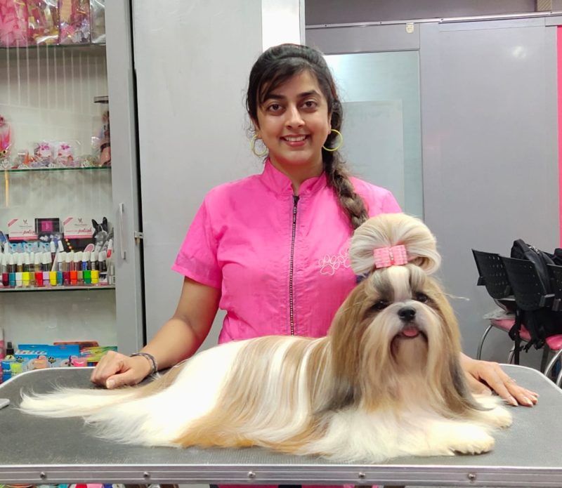 Pet grooming services in your city that will pamper your pets silly