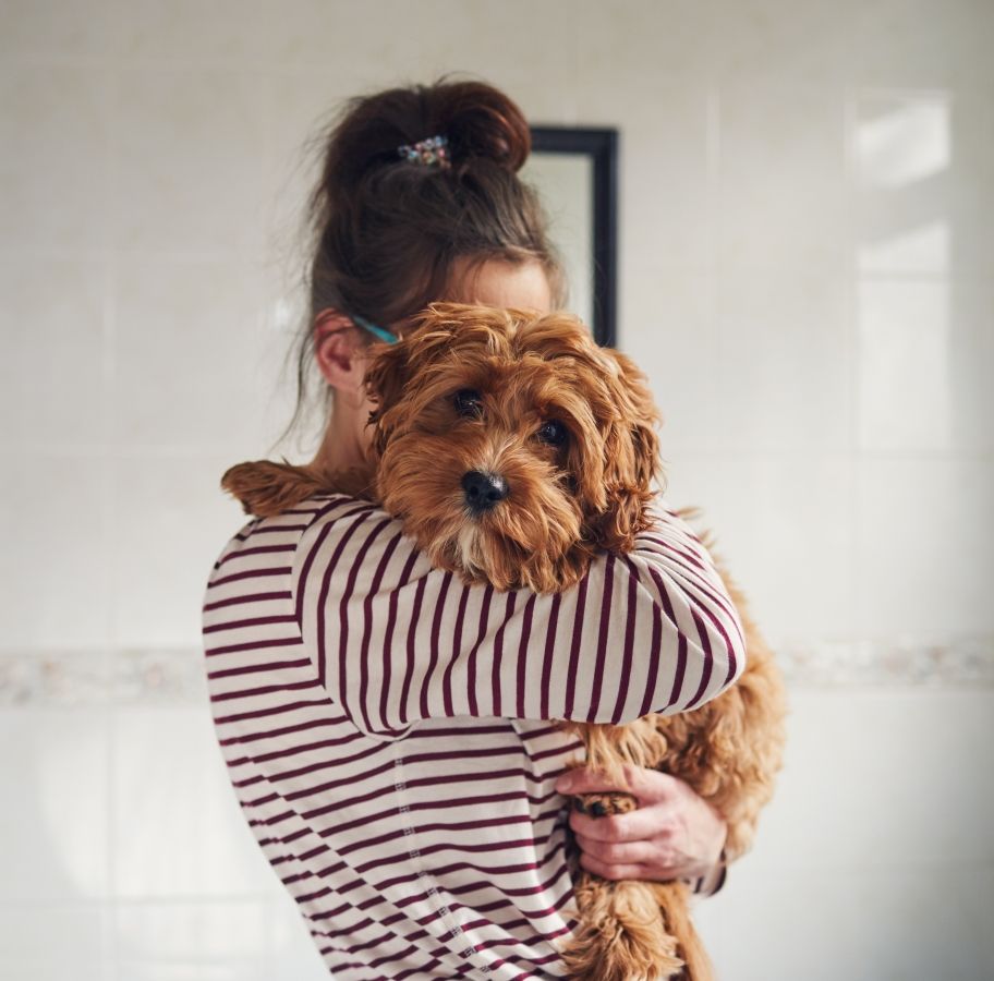 Pet grooming services in your city that will pamper your pets silly