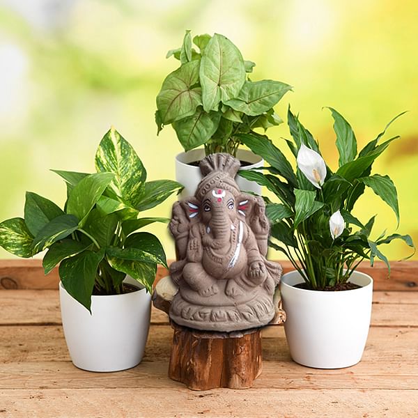 Celebrate eco-friendly Ganesh Chaturthi with these plantable idols