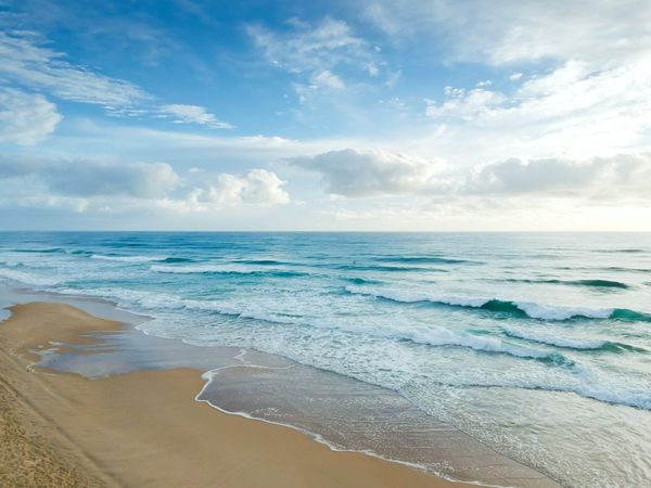 8 most beautiful Blue Flag beaches in India break you need to visit