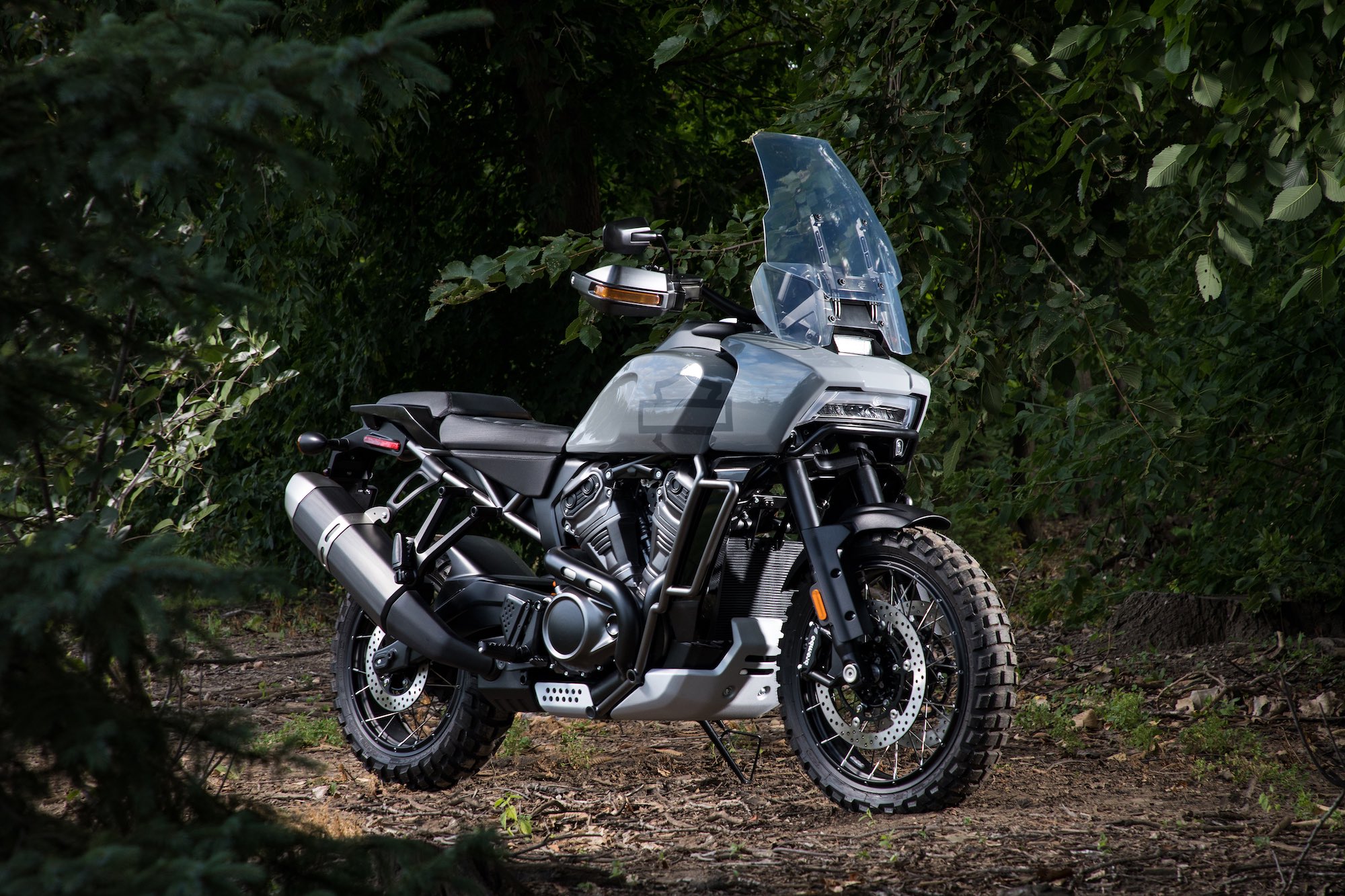 Best bike in 2020 store
