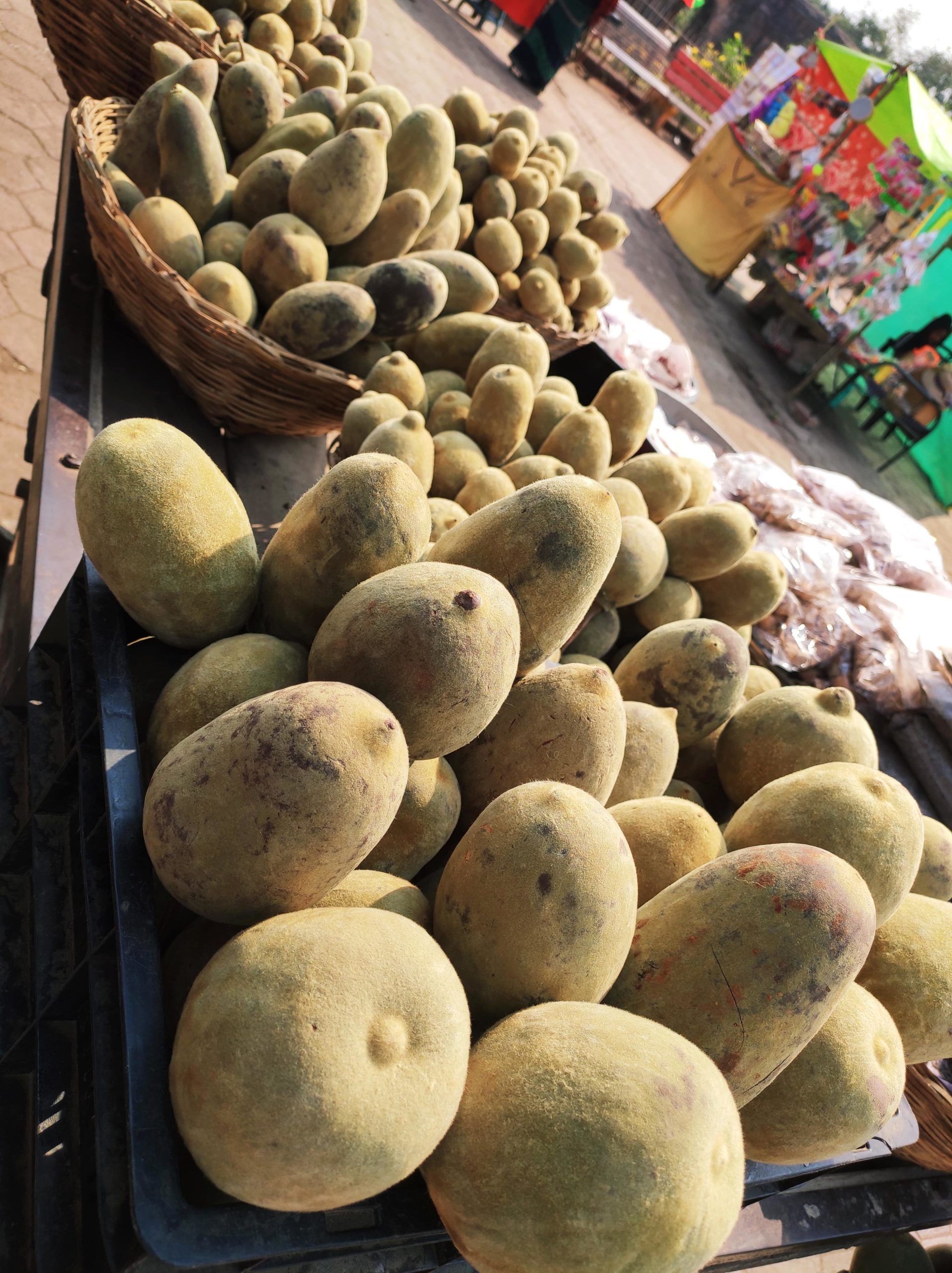 Mandu, Madhya Pradesh's ancient city, is a lesson in the art of slow travel