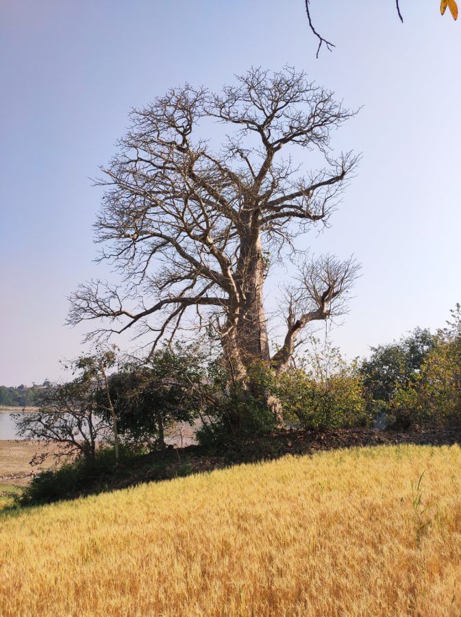 Mandu, Madhya Pradesh's ancient city, is a lesson in the art of slow travel