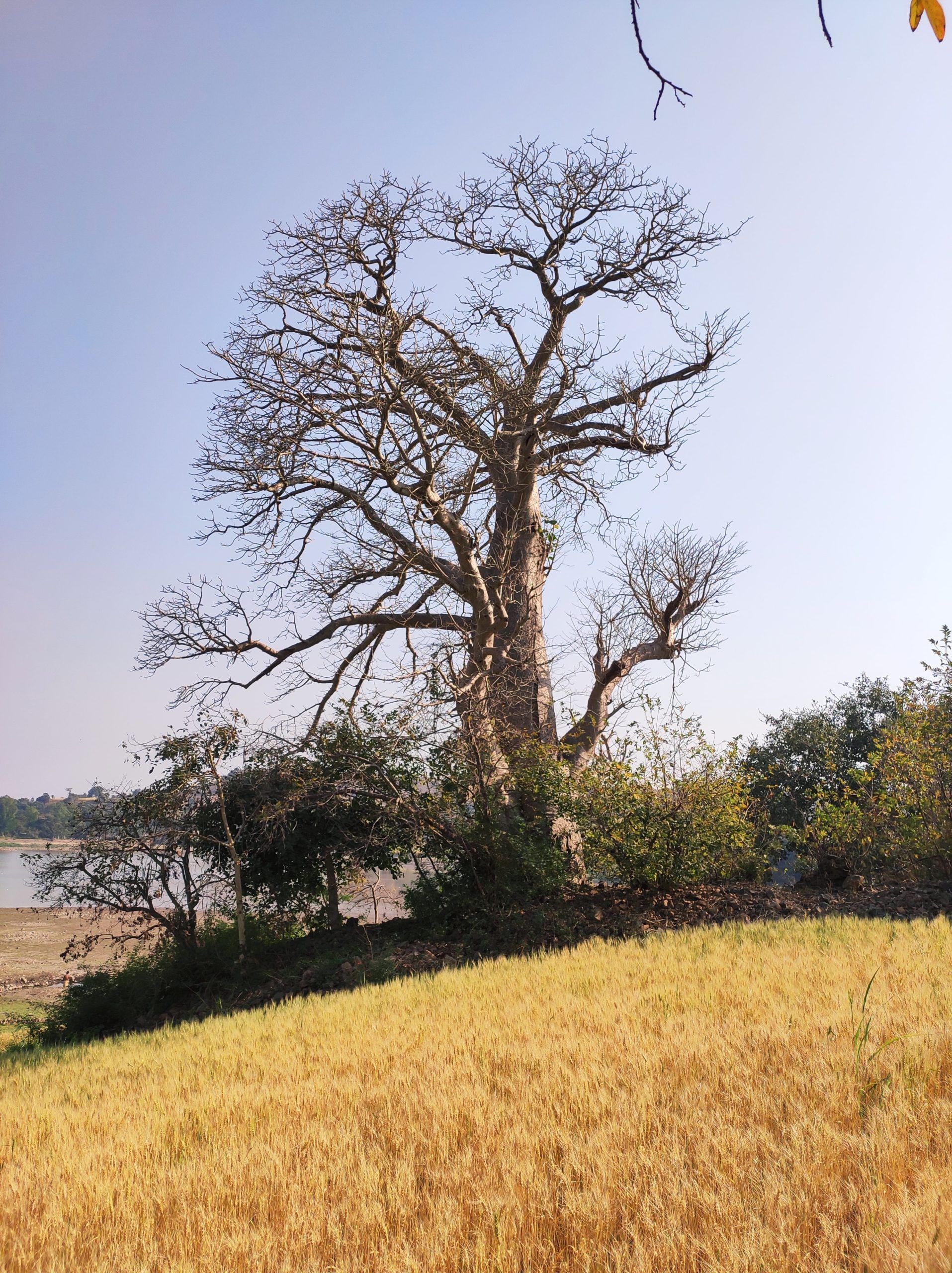 Mandu, Madhya Pradesh's ancient city, is a lesson in the art of slow travel