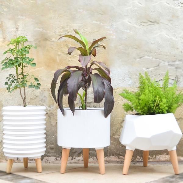 Here's an easy guide to the cutest minimalistic planters for plant parents