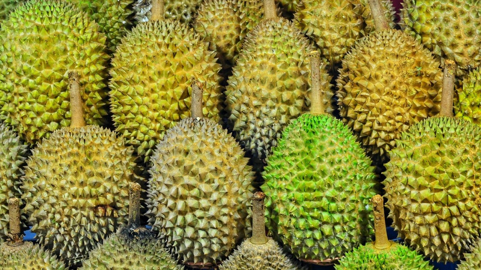 Weird foods and dishes that will probably leave you shocked