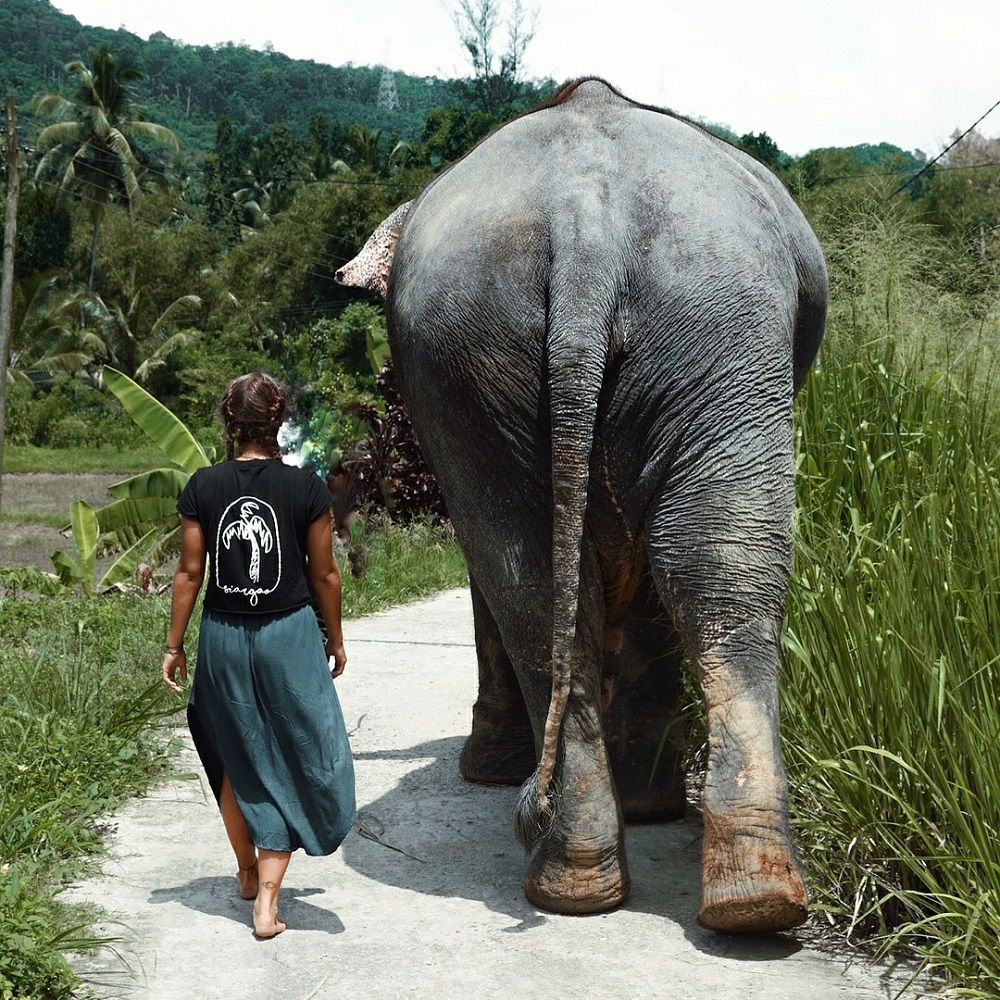 All the ethical elephant sanctuaries in Asia you need to know about