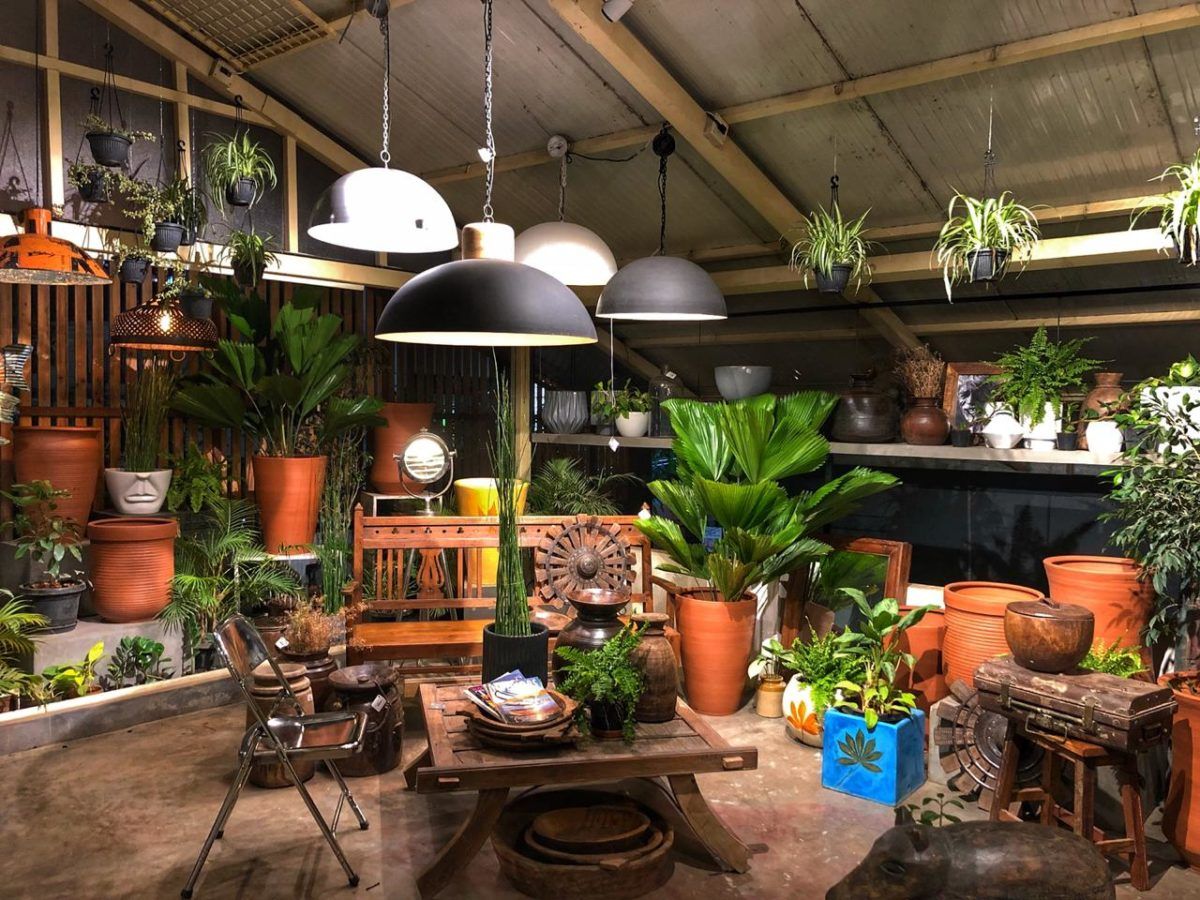 Beruru - a complete gardening and outdoor decor destination in Bengaluru