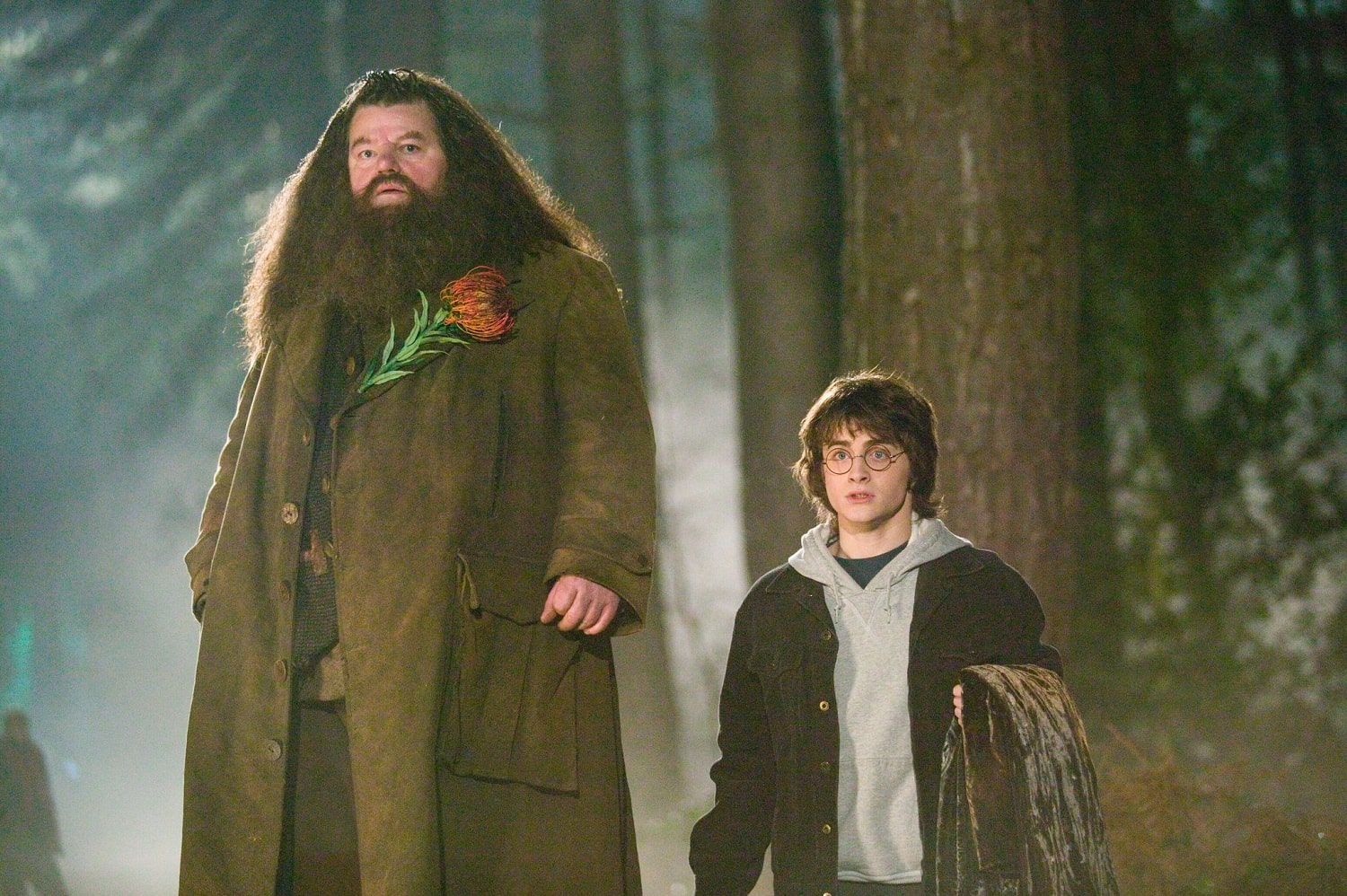 Lesser-known facts about ‘Harry Potter’ movies that might surprise you
