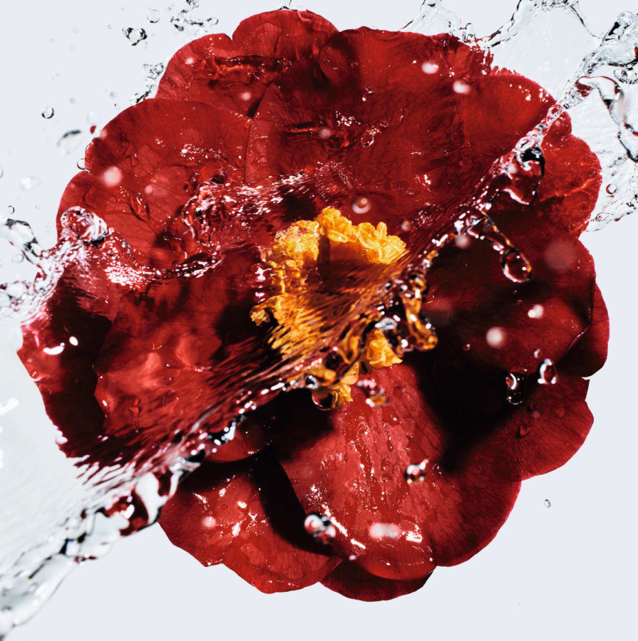Chanel launches a new skincare and makeup line N°1 de CHANEL