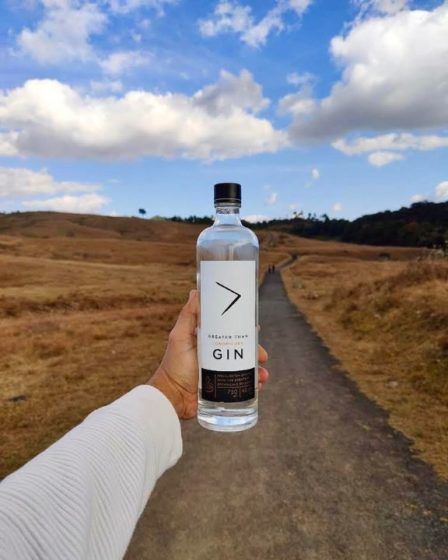 Add the finest gin from Indian breweries to your home bar, pronto!