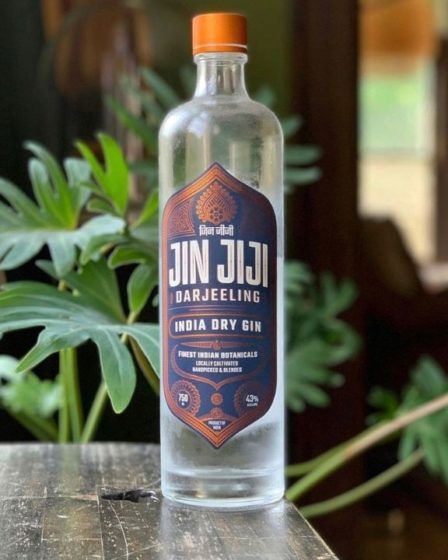 Add the finest gin from Indian breweries to your home bar, pronto!