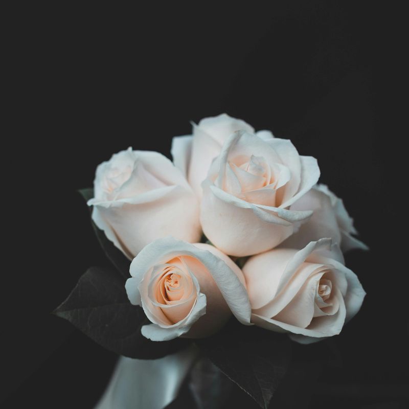 White Day: All about the unique Japanese sequel to Valentine's Day