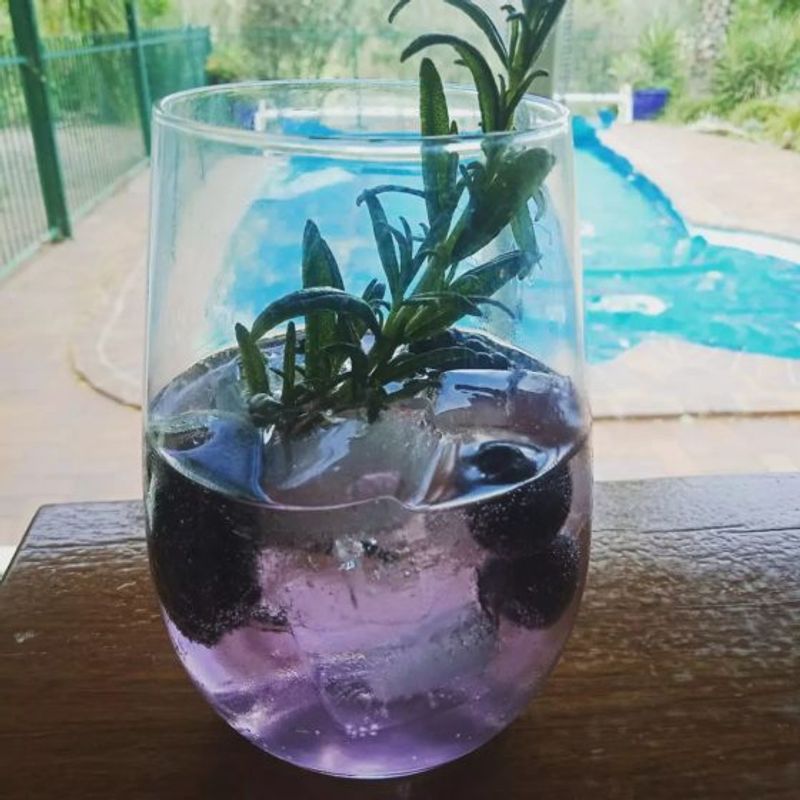 Ace the art of making DIY gin infusions for a gin-credible summer ahead