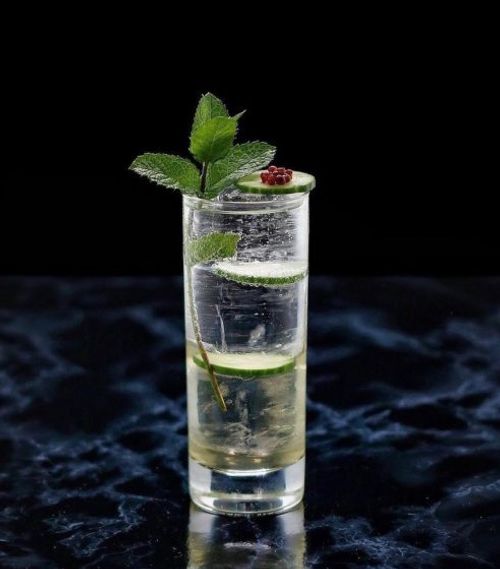 Ace the art of making DIY gin infusions for a gin-credible summer ahead