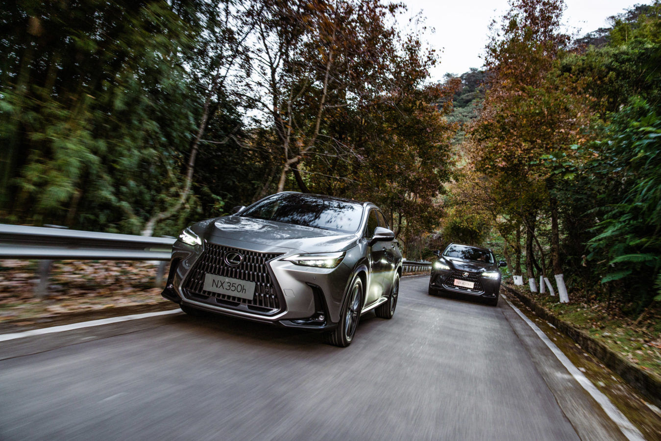 LSA Reviews: The Lexus NX 350h - Ergonomic genius and nifty hybrid