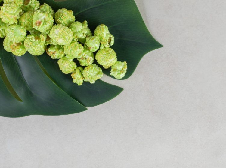 Vrat 101: Easy and healthy ways to fast during Navratri