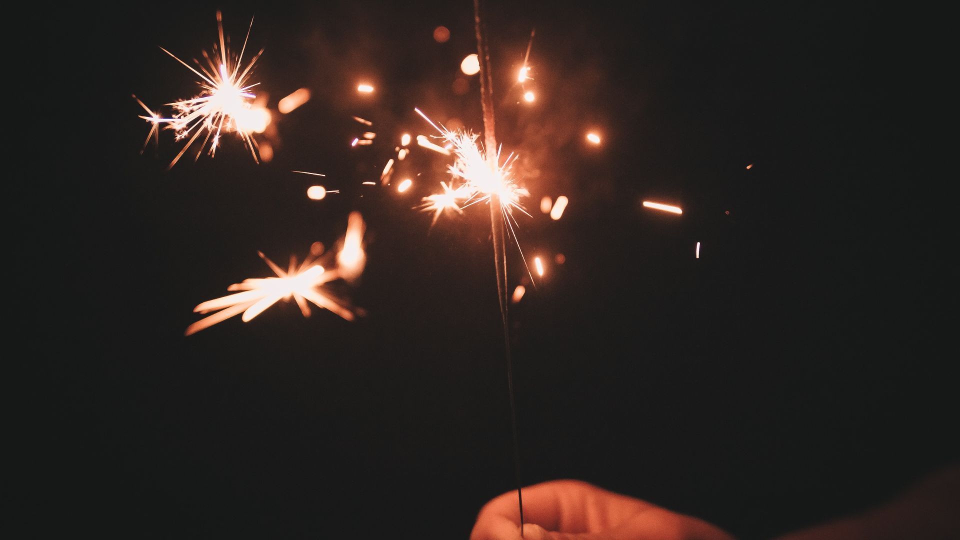 Eco friendly Diwali: Go green this festive season
