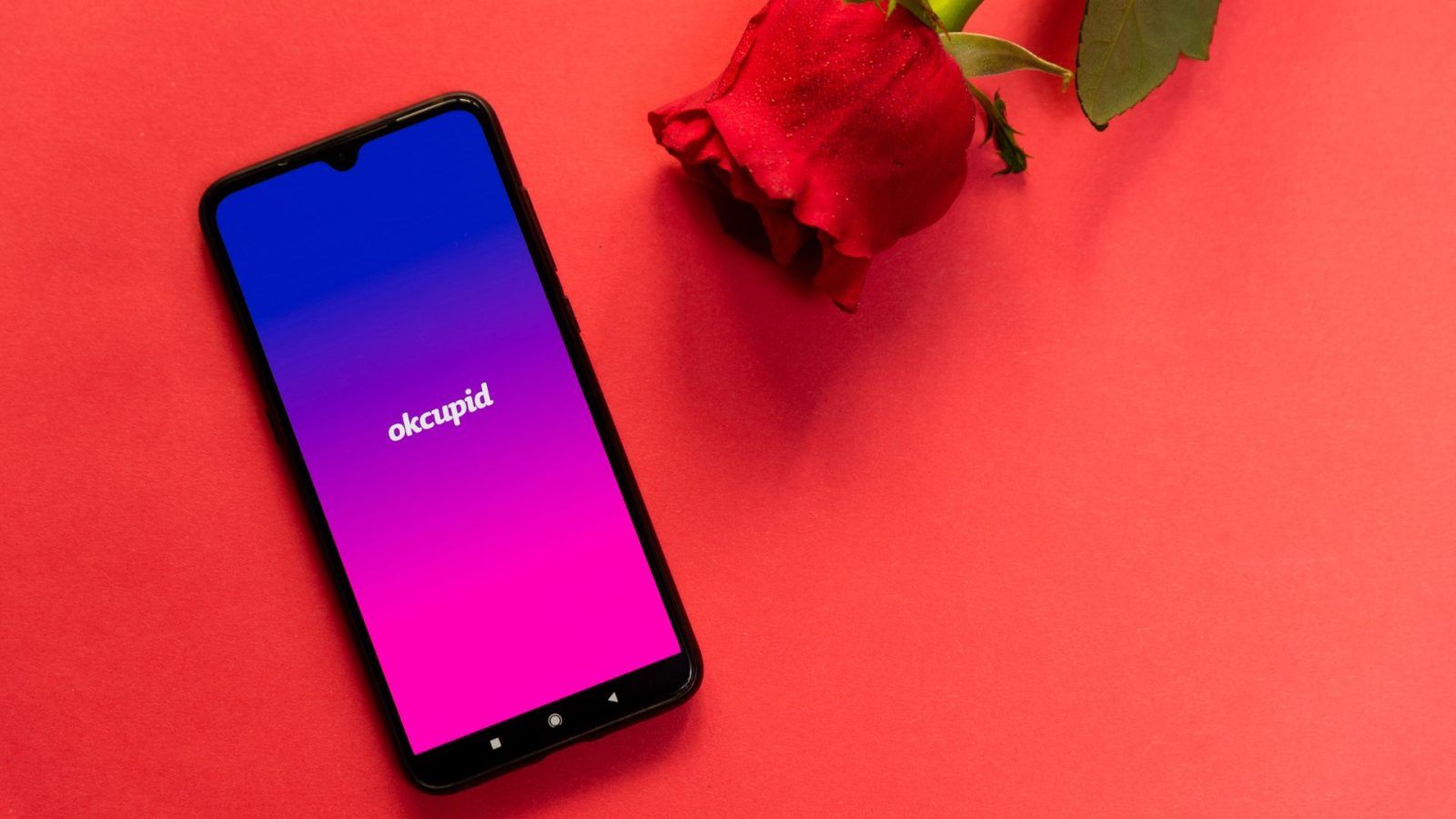 Dating apps in India that will help you find your significant other