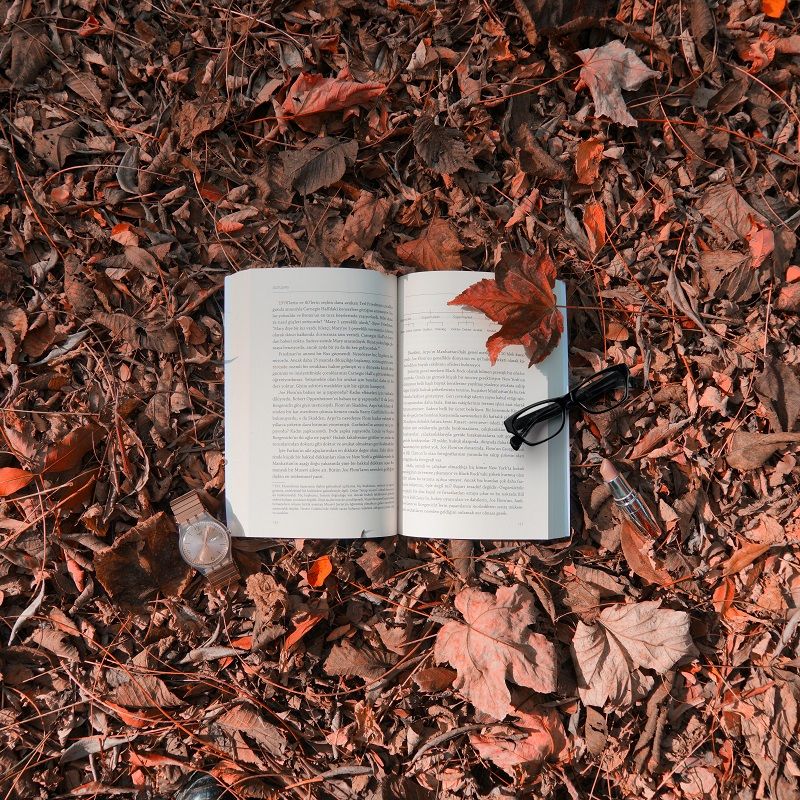 Best Detective Novels Every Murder Mystery Lover Should Read