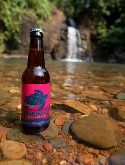 Exciting flavored beers under INR 300 for the breeziest drinking experience