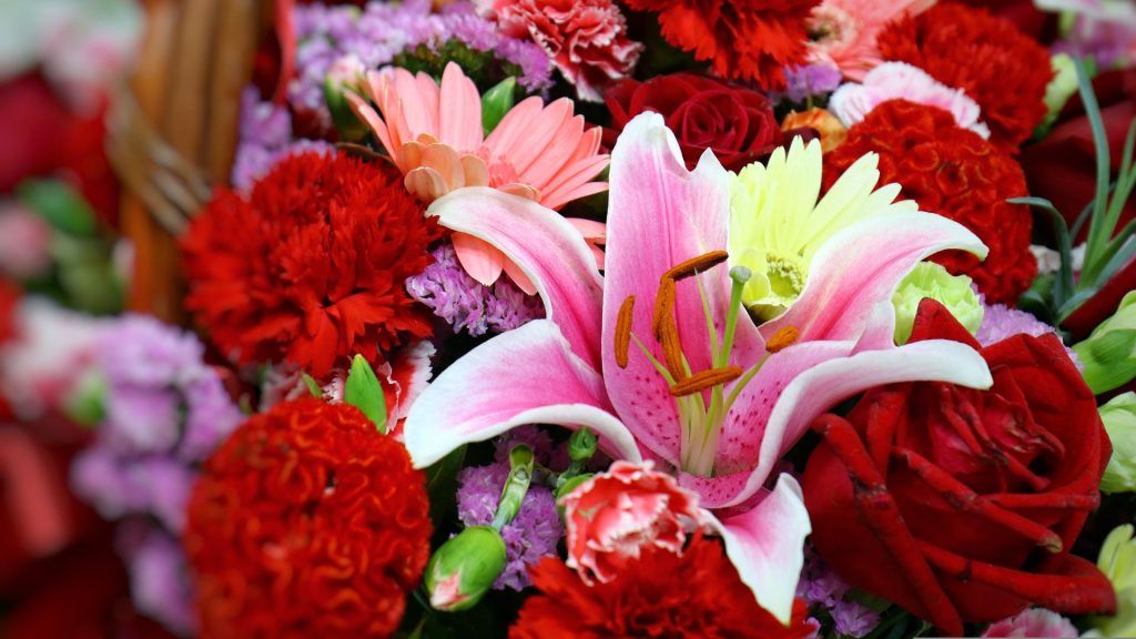 Unique flowers apart from roses that make for a unique Valentine's Day gift