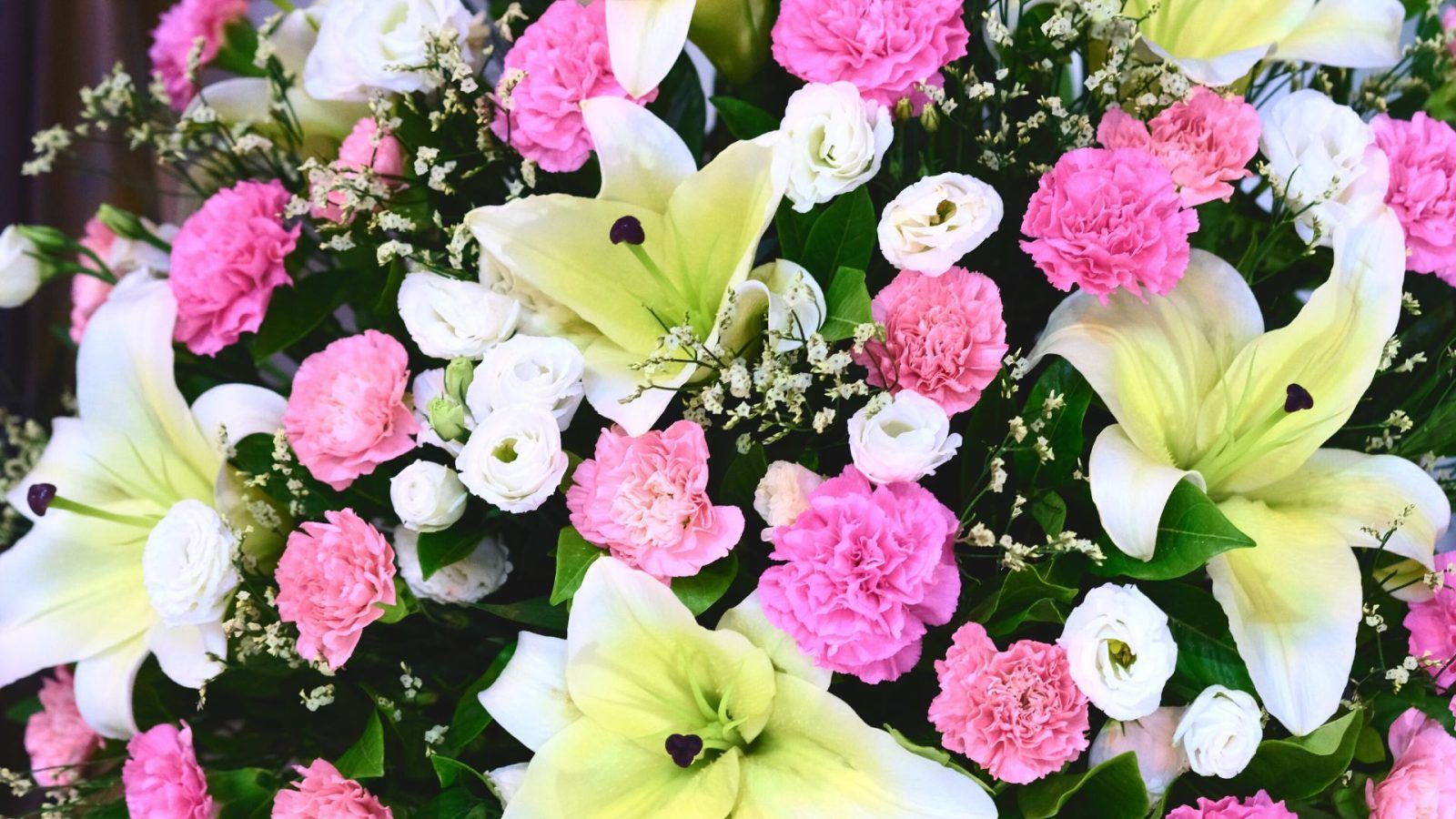 Unique flowers apart from roses that make for a unique Valentine's Day gift