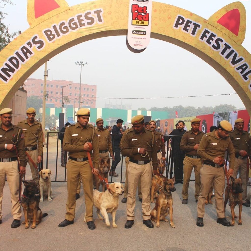 Pet Fed festival 2023: Date, venue, timings, ticket price, and more
