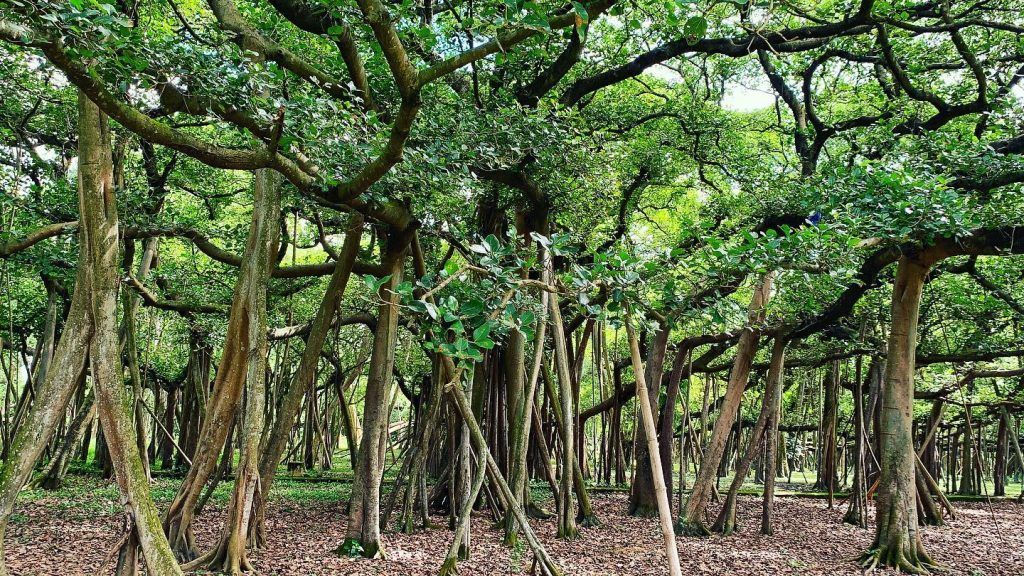 Places to visit in Kolkata