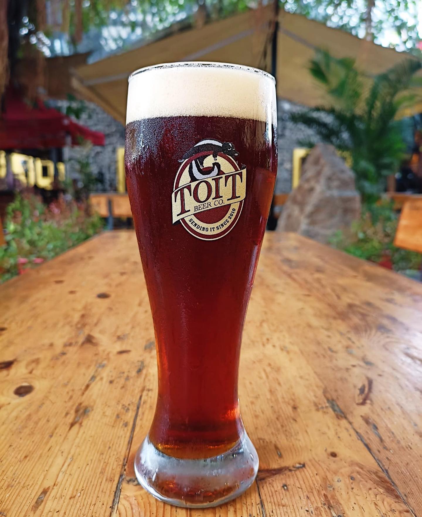 Things to do in Bangalore to get a little taste of the local way of life